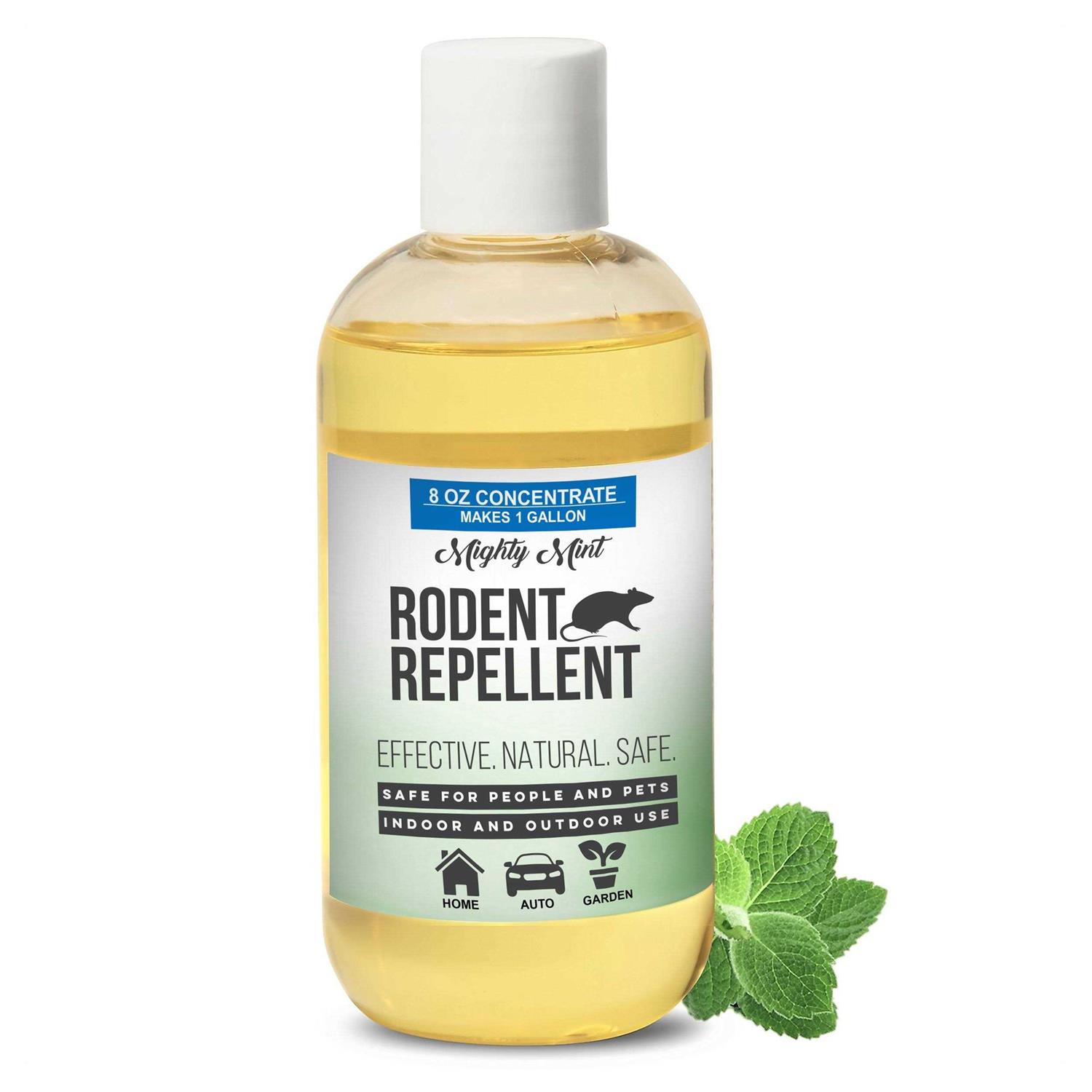 Mighty Mint Peppermint Concentrate Makes 1-Gallon Rodent Repellent ...