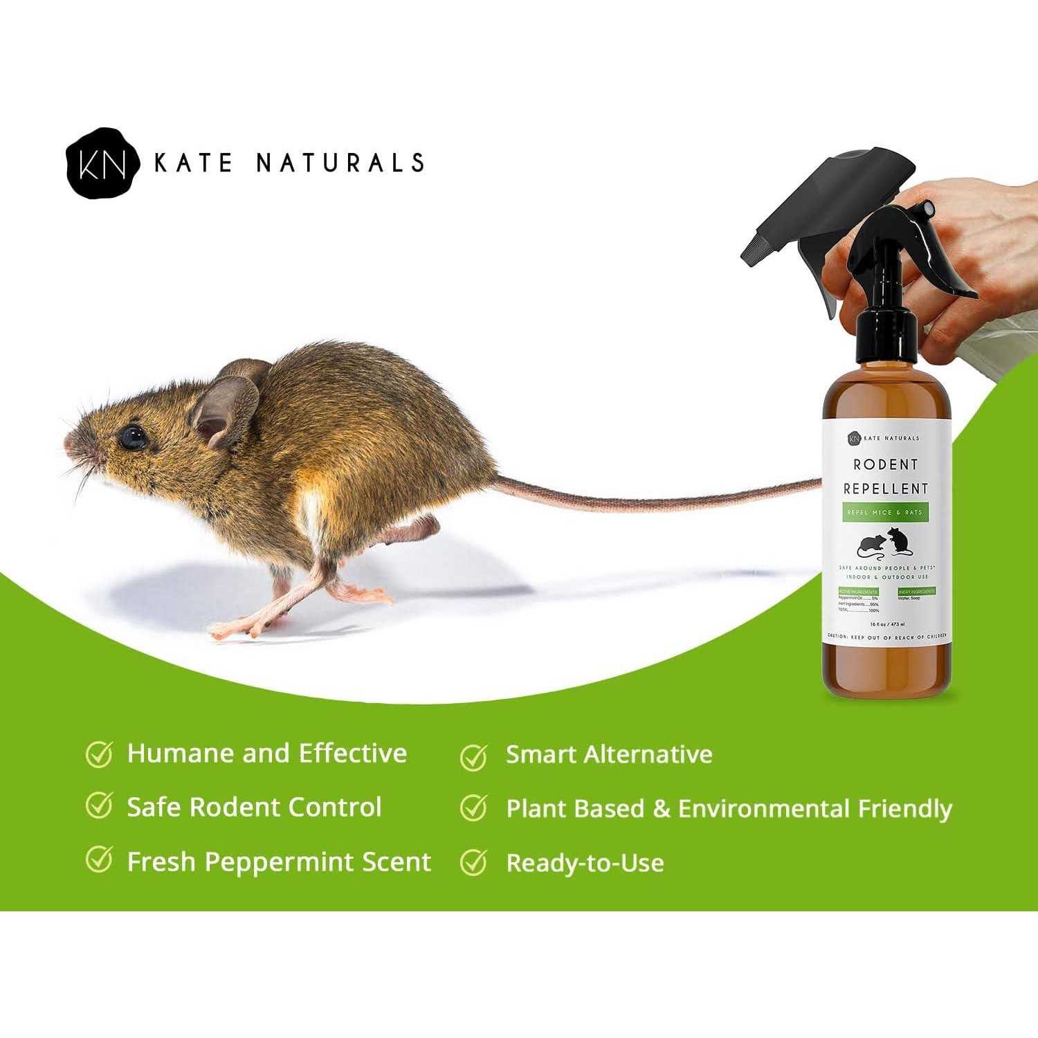 Rodent Repellent Spray with Peppermint Oil by Kate Naturals. Formulated ...