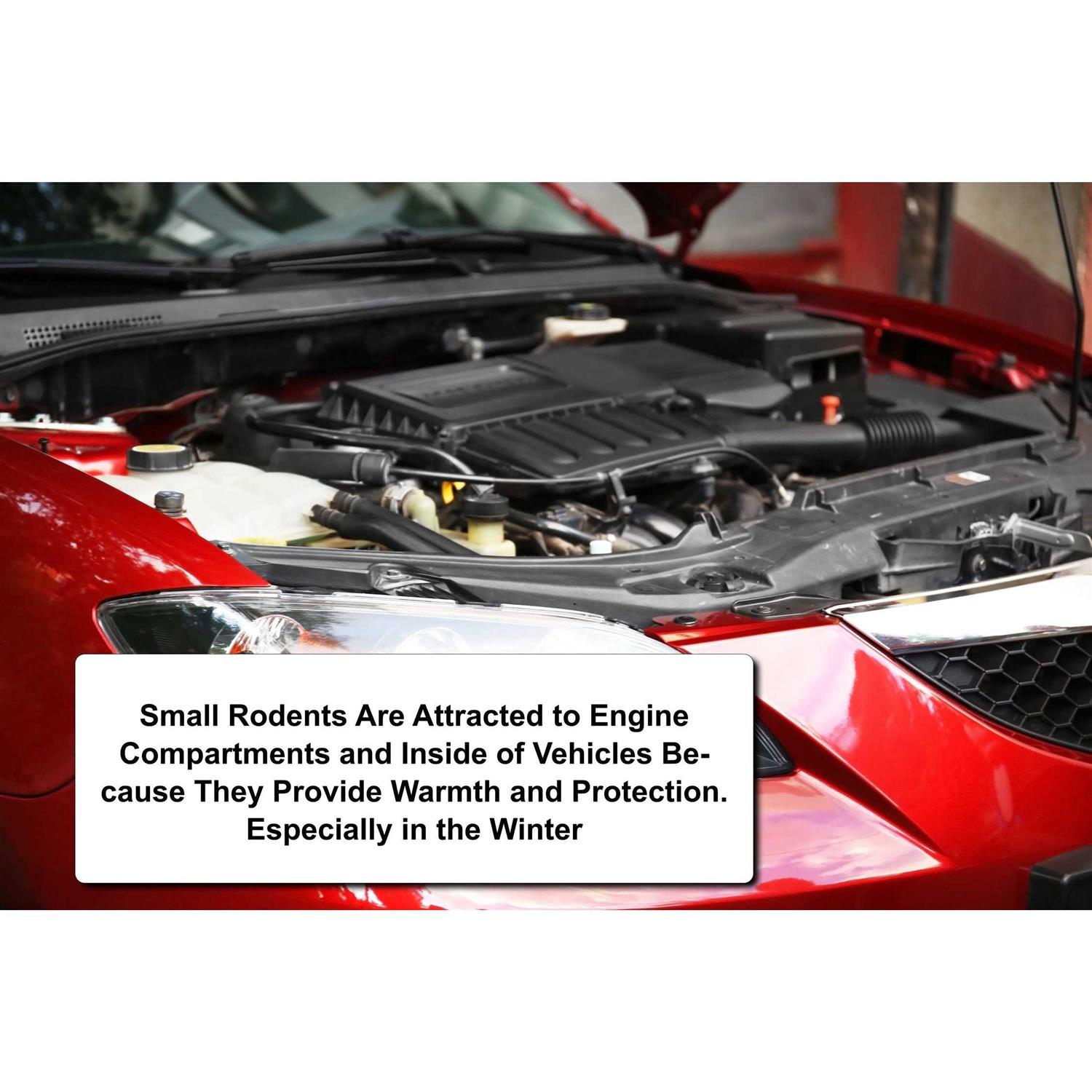 MiceMouse Rat Squirrel Rodent Wire Engine Vehicle Protection Spray ...