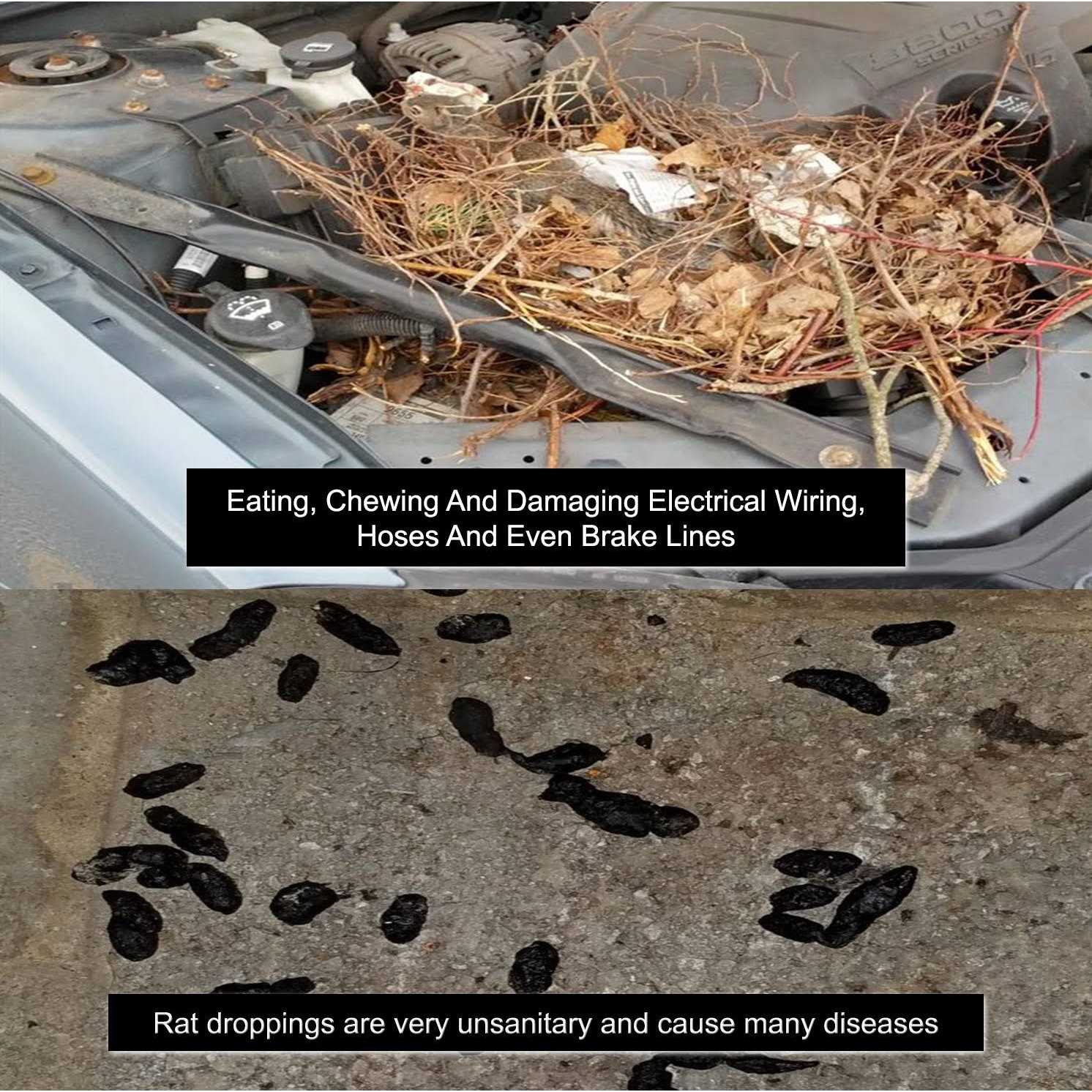 MiceMouse Rat Squirrel Rodent Wire Engine Vehicle Protection Spray ...