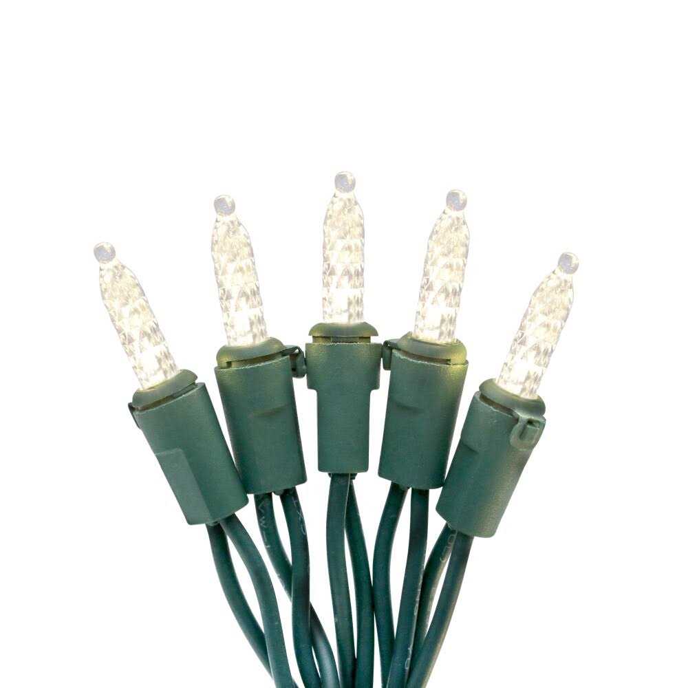 Philips LED Warm White Twinkling Indoor / Outdoor Mini Christmas Lights ...