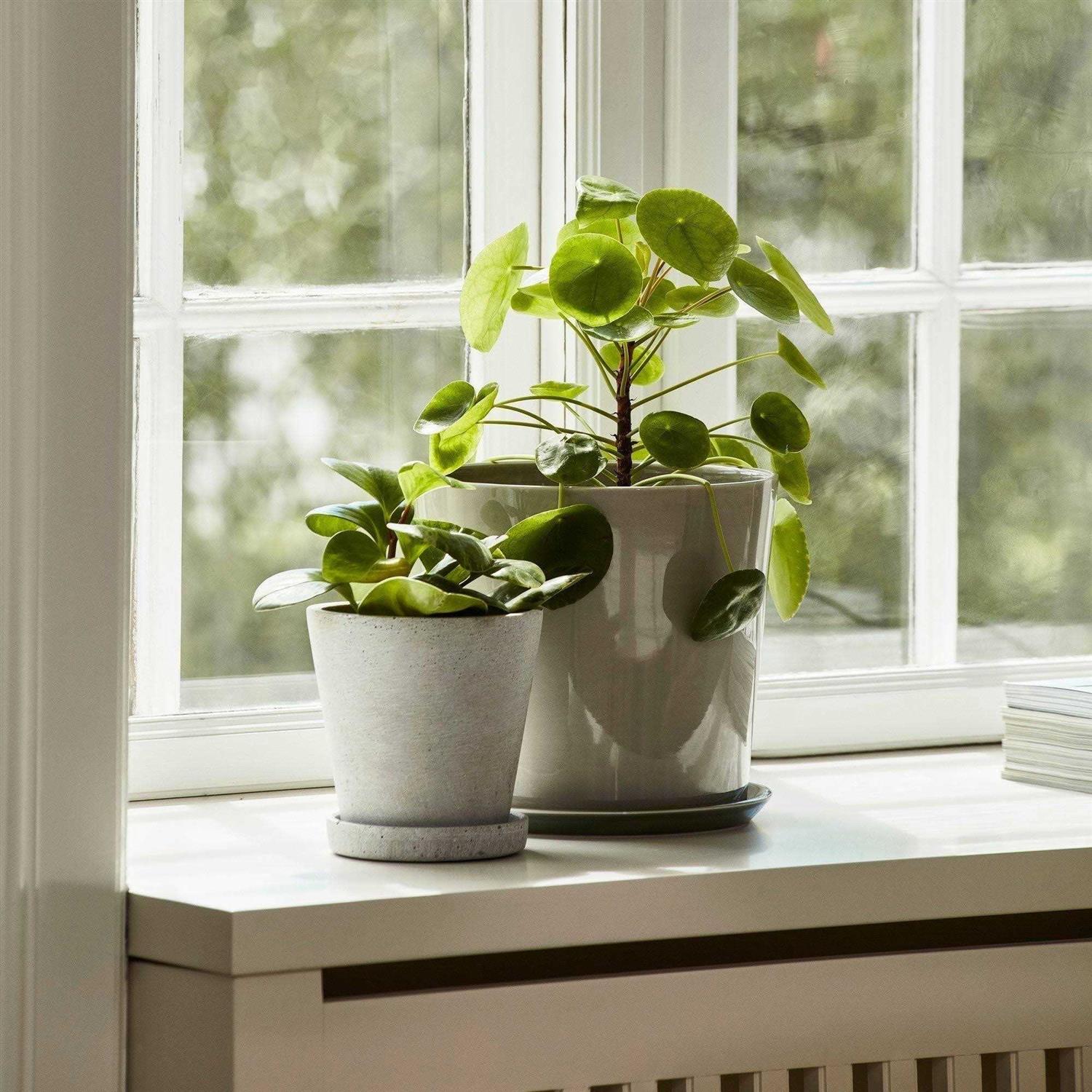 Hay Flowerpot with Saucer - Home & Office Supplies on sale