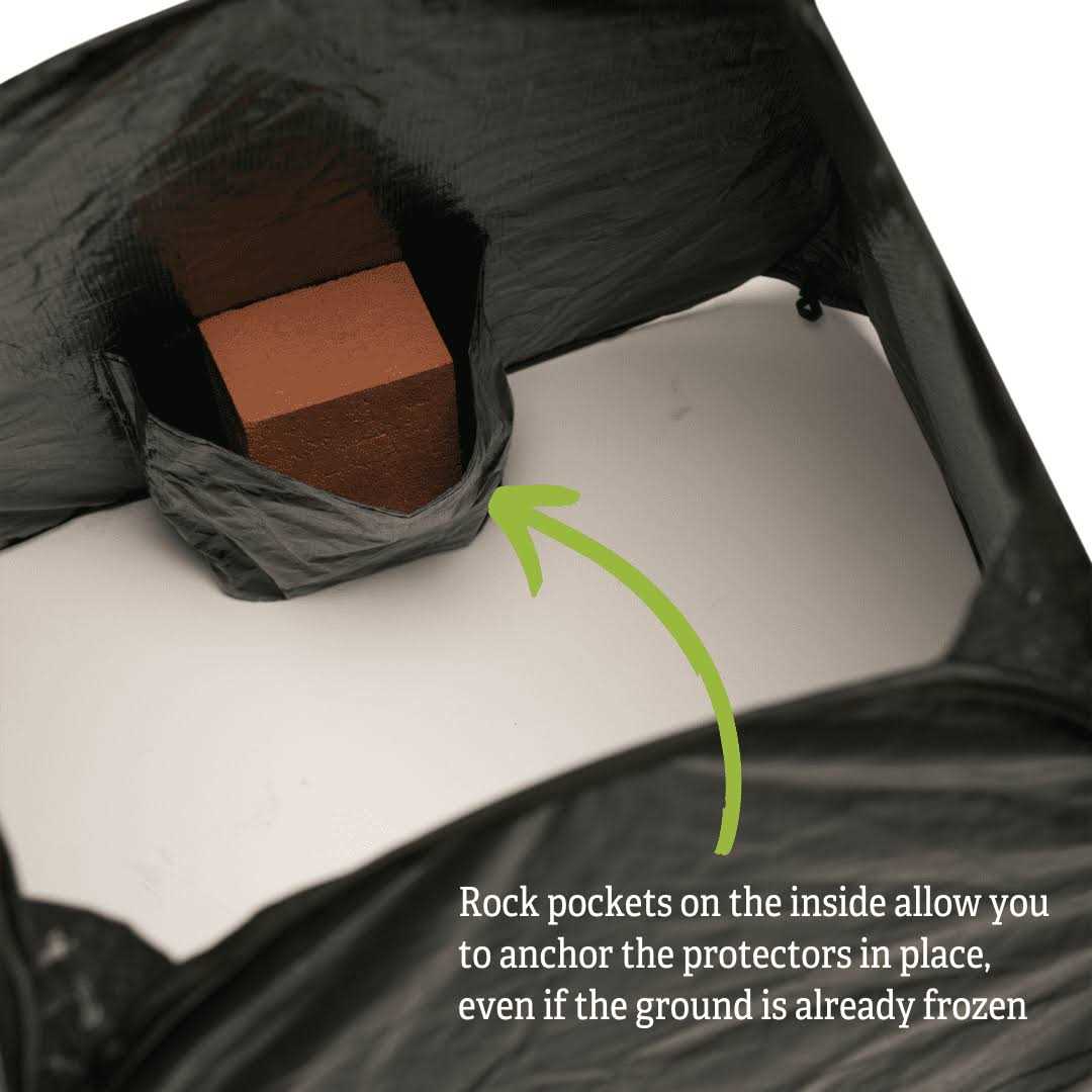 Gardener's Supply Company Pop-up Plant Protector - Home & Office ...